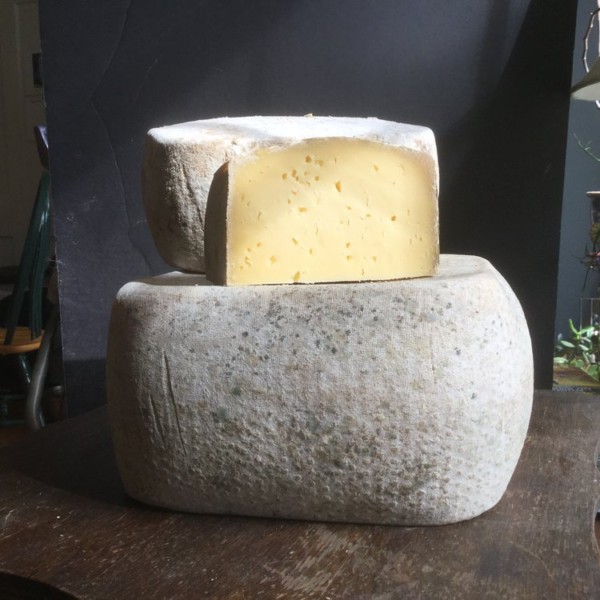 Where to Buy Cheese in Vermont – Vermont Cheese Council