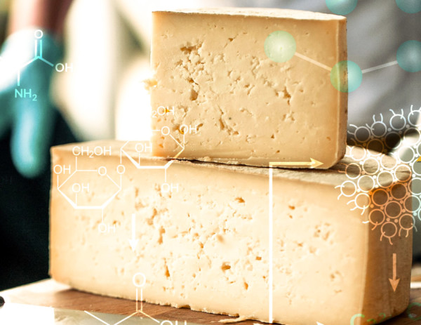 Vermont Cheese Council Home of the Vermont Cheese Brand