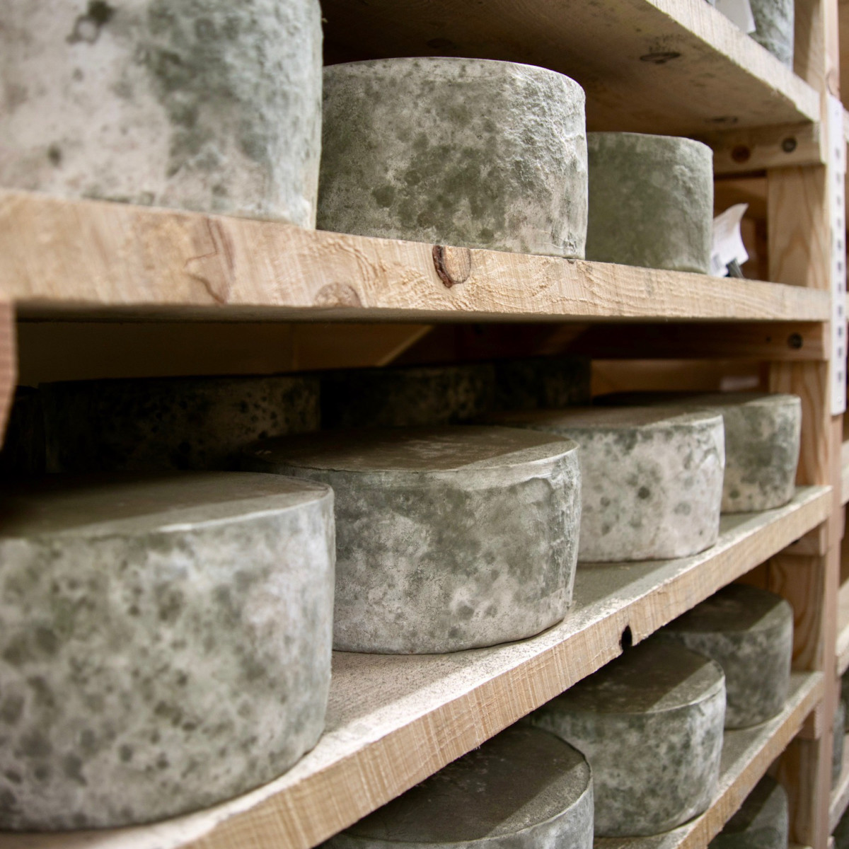 Vermont Cheese Council Home of the Vermont Cheese Brand